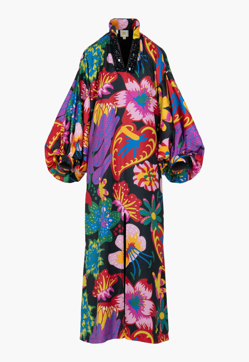 Fiona Dress Midnight Garden Emily McCarthy – Monkee's of Georgetown